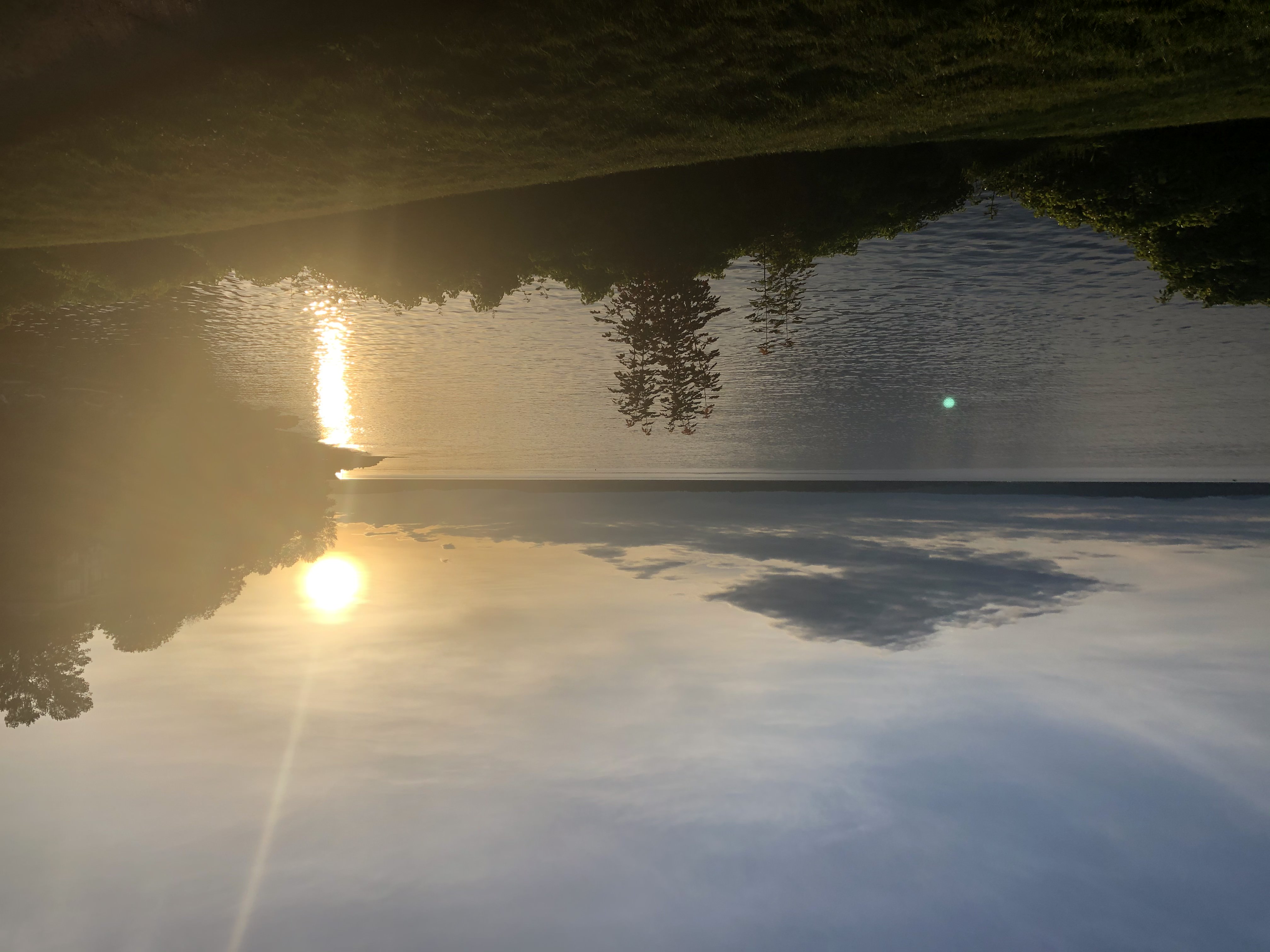 Seattle - Arman Iman